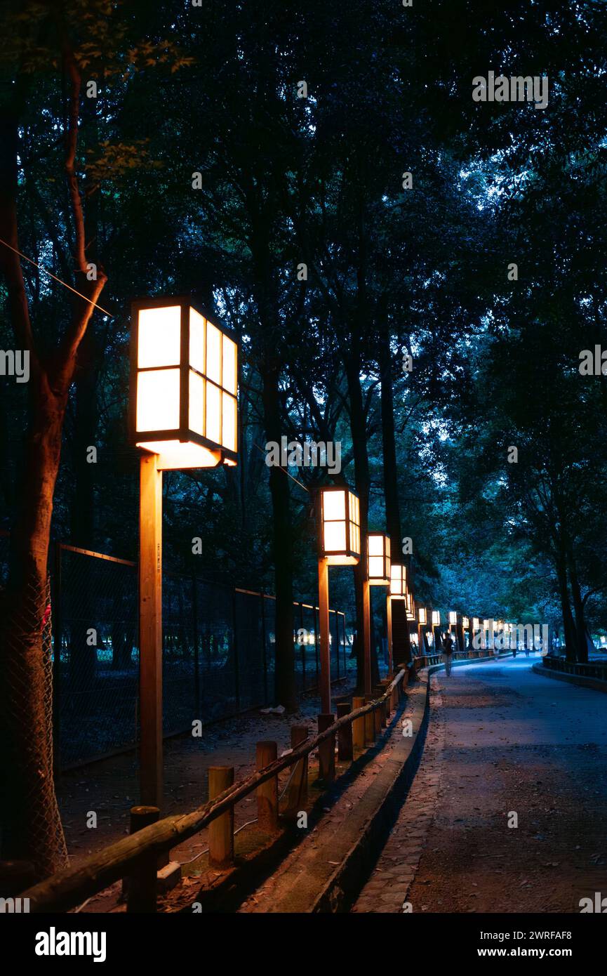 Lantern walk through Nara, Japan Stock Photo - Alamy