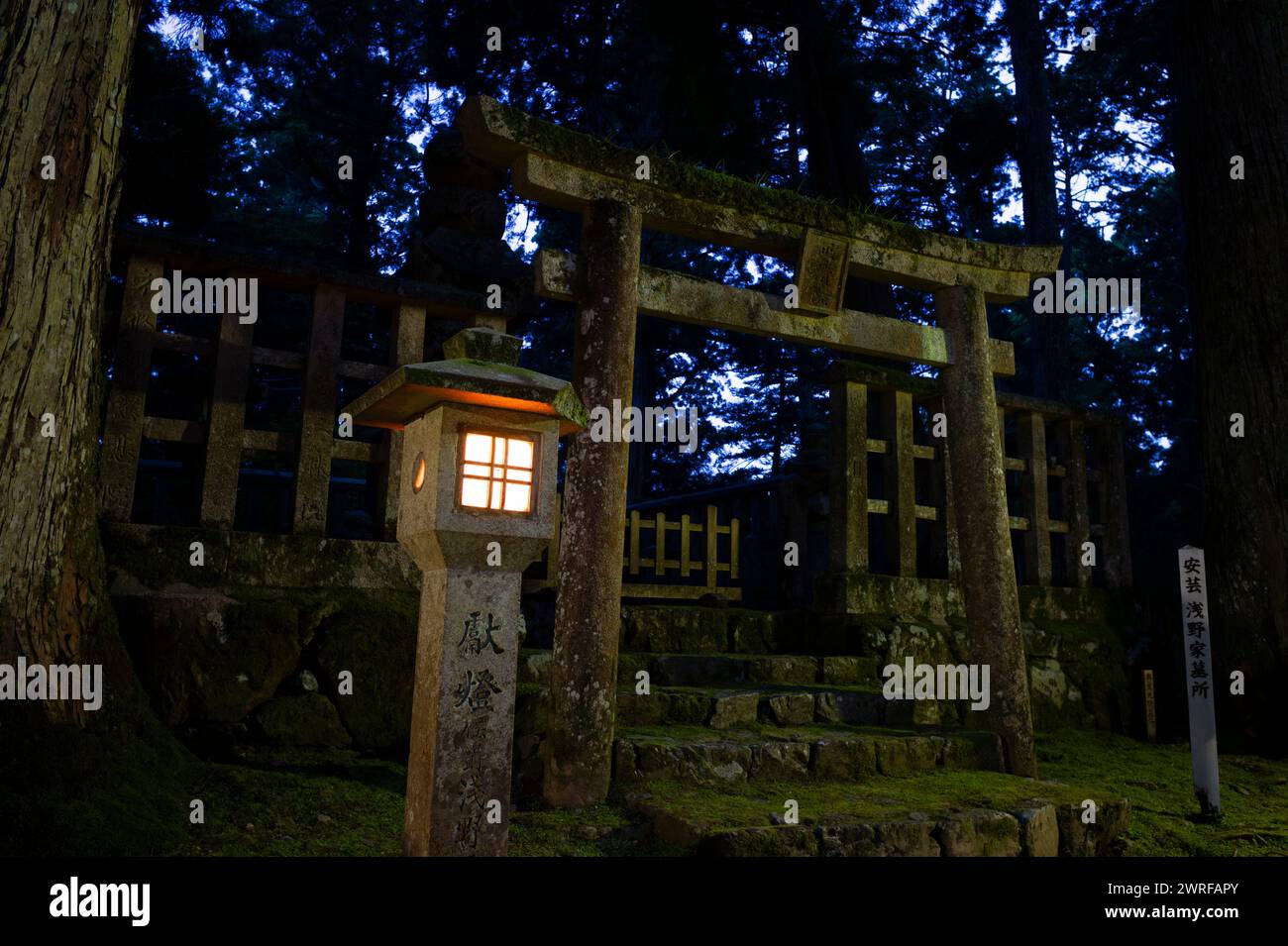 Atmospheric night walk in the cemetery at Mount Koyasan, UNESCO world ...