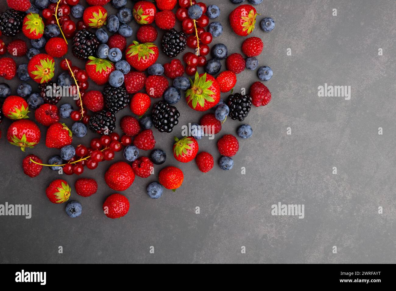 Berries. Various colorful berries Strawberry, Raspberry, Blackberry ...
