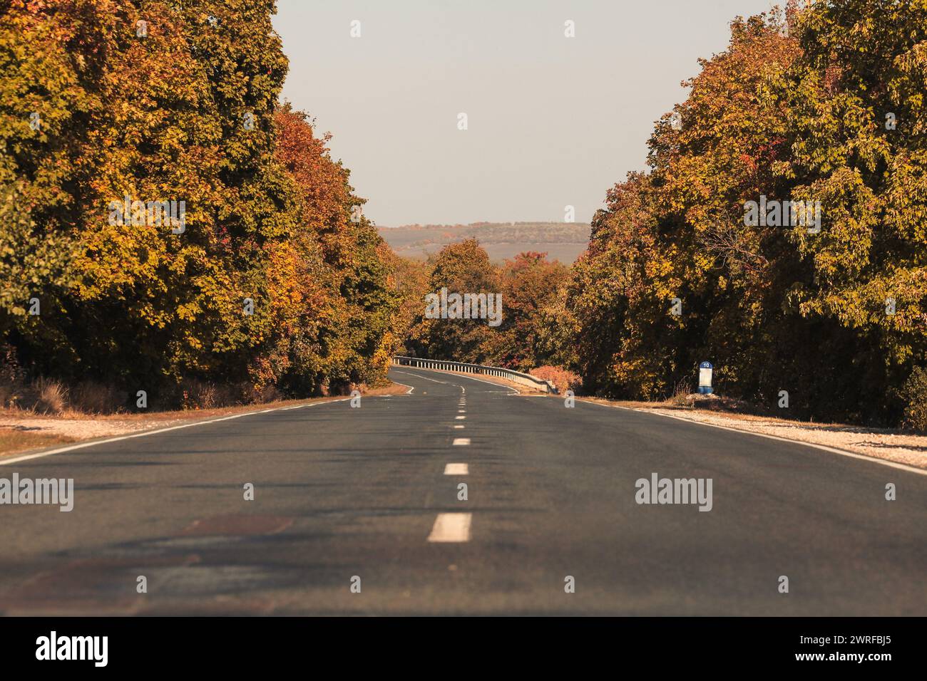 Road in autumn forest at sunset. Beautiful empty mountain roadway ...