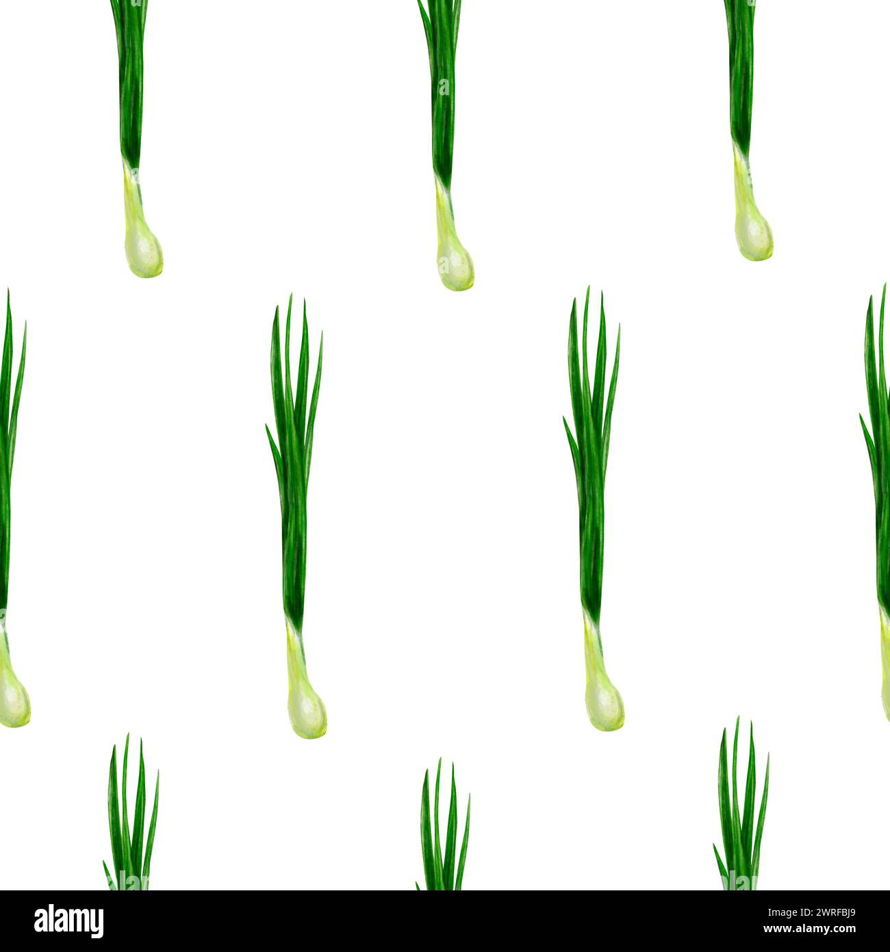 Hand drawn vegetable pattern, green juicy onion. Seamless pattern with ...
