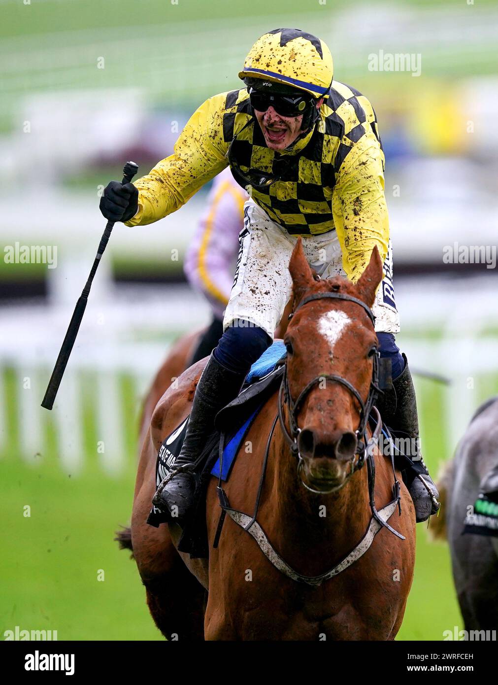 Jockey Paul Townend celebrates on State Man after winning the Unibet ...