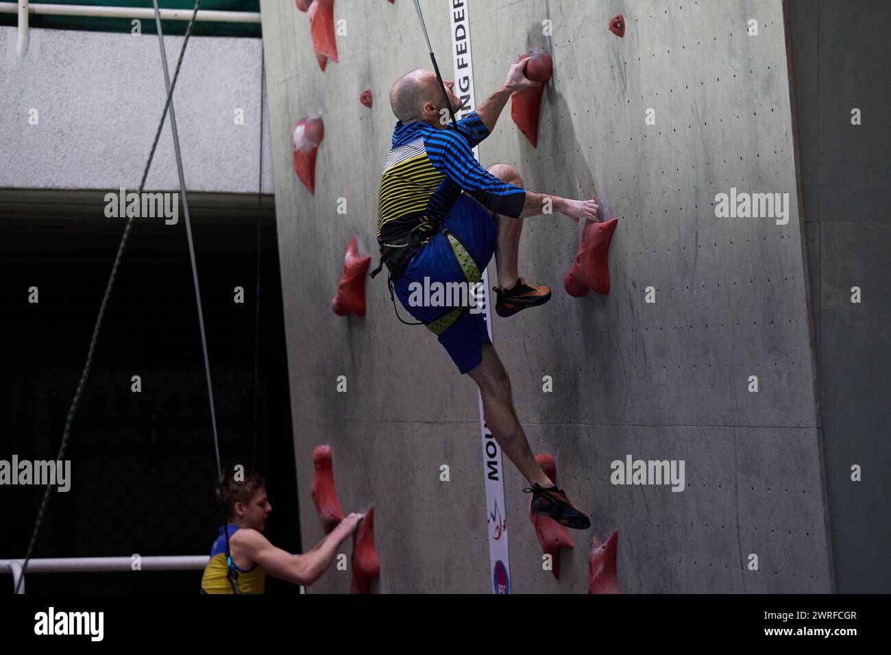 Male climber wearing a harness climbs the wall at indoor speed climbing ...