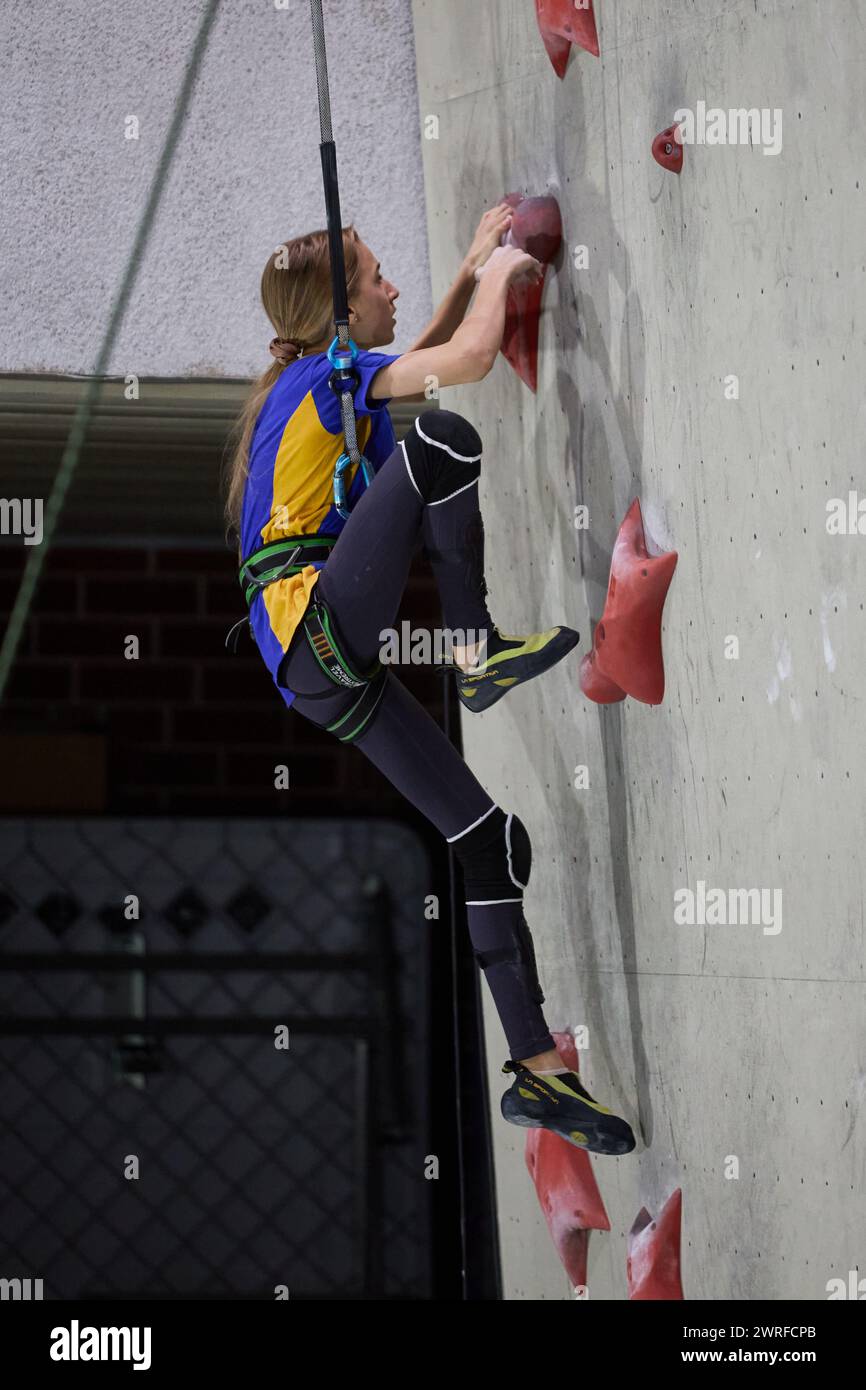 Speed climber goes up the vertical wall at a professional indoor ...