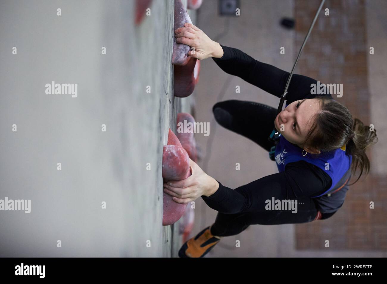 Young female climbing the vertical wall at a speed climbing competition ...