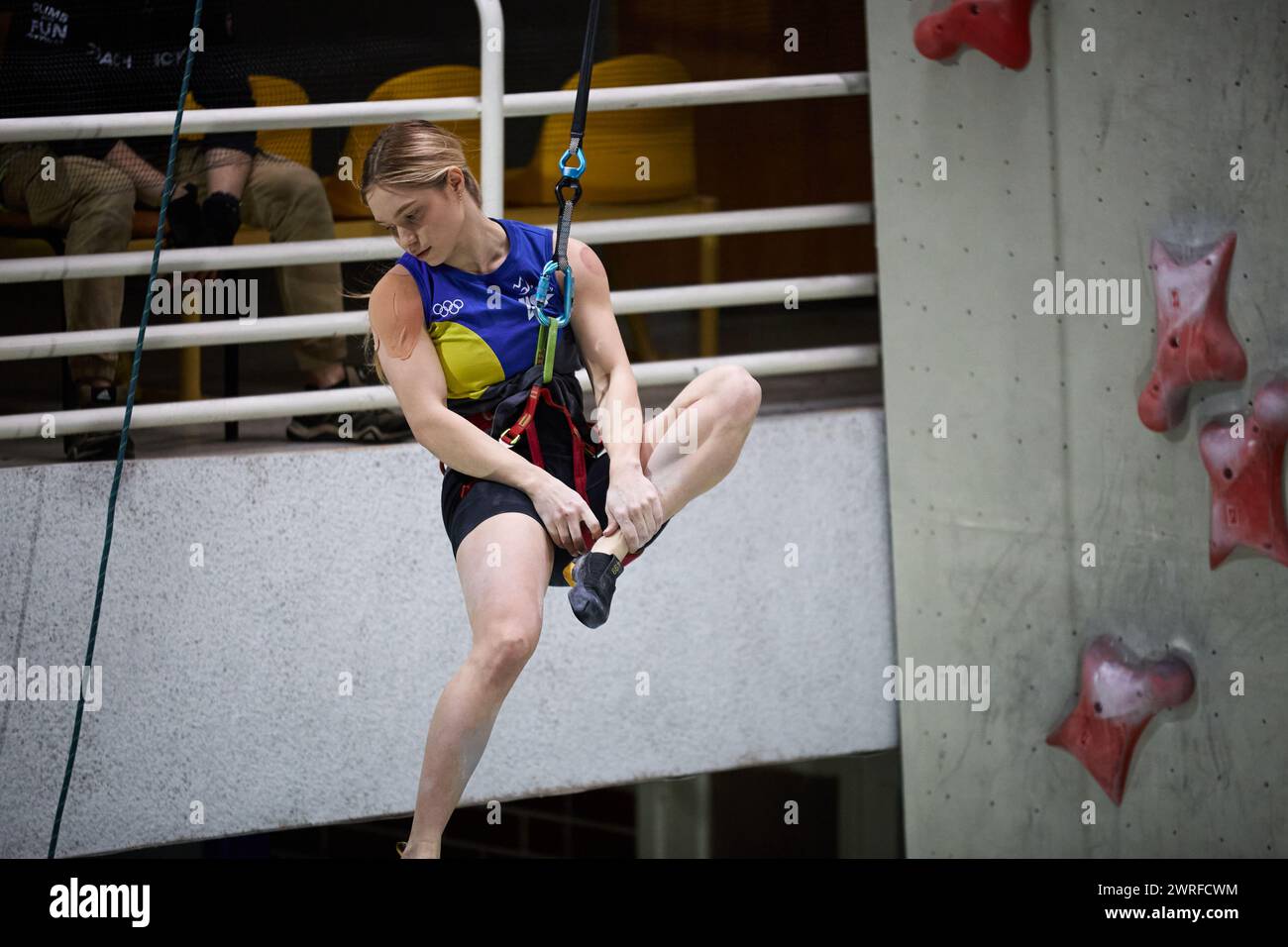 Young muscular female climber hanging on a safety rope at a speed ...