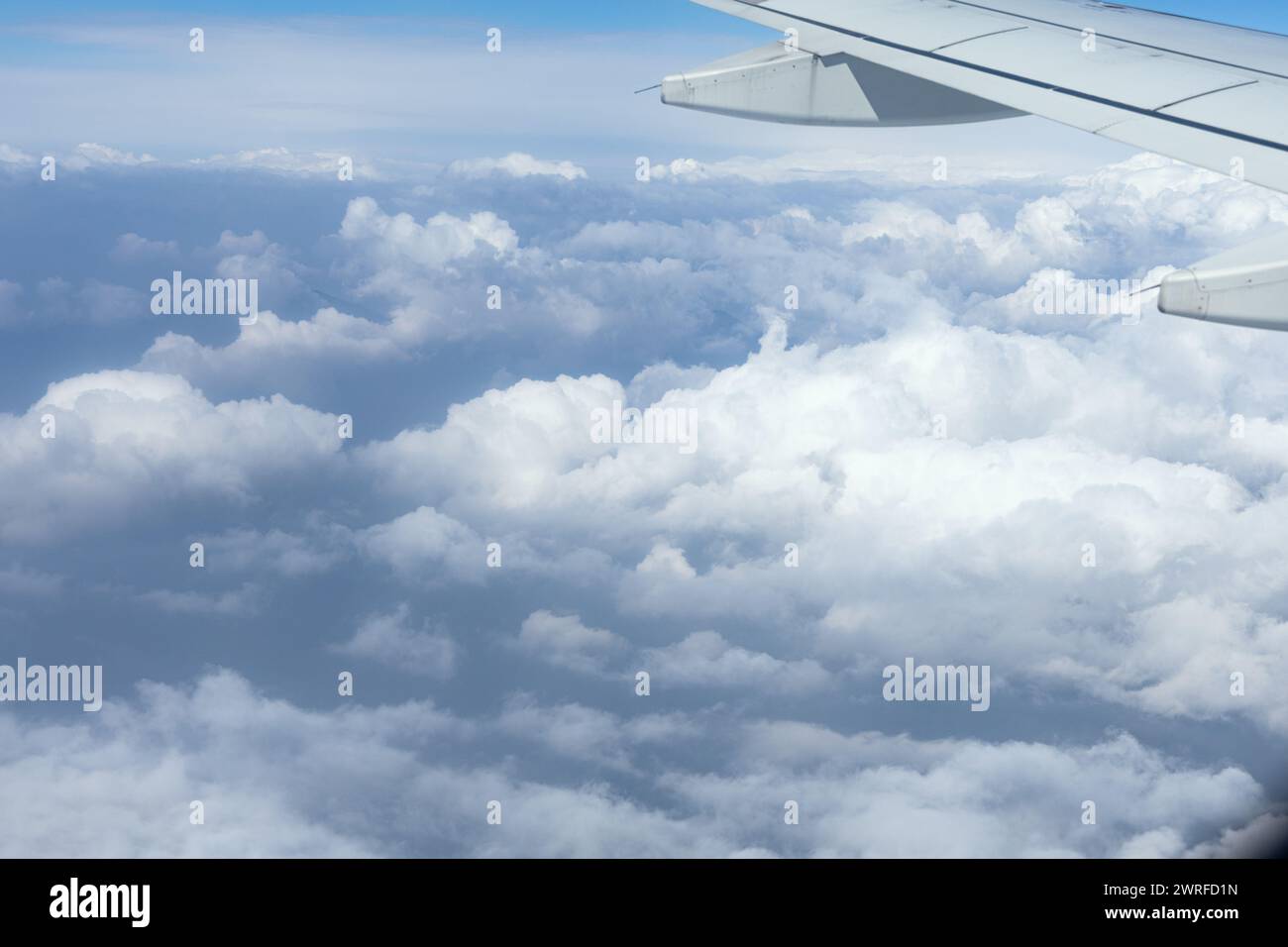 A Symbol of Peace and Calm Stock Photo - Alamy