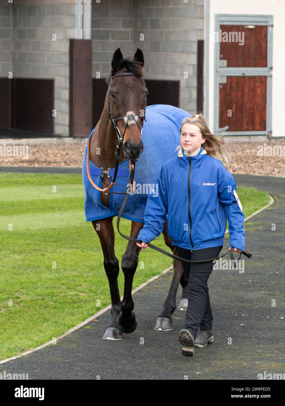 Wincanton racecourse hi-res stock photography and images - Alamy
