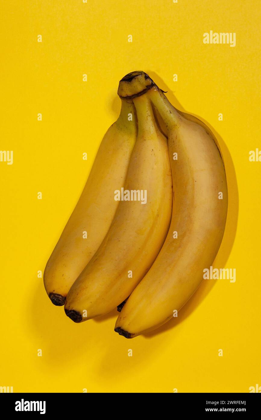 Bunch of bananas isolated on yellow background. Bananas with leaves ...