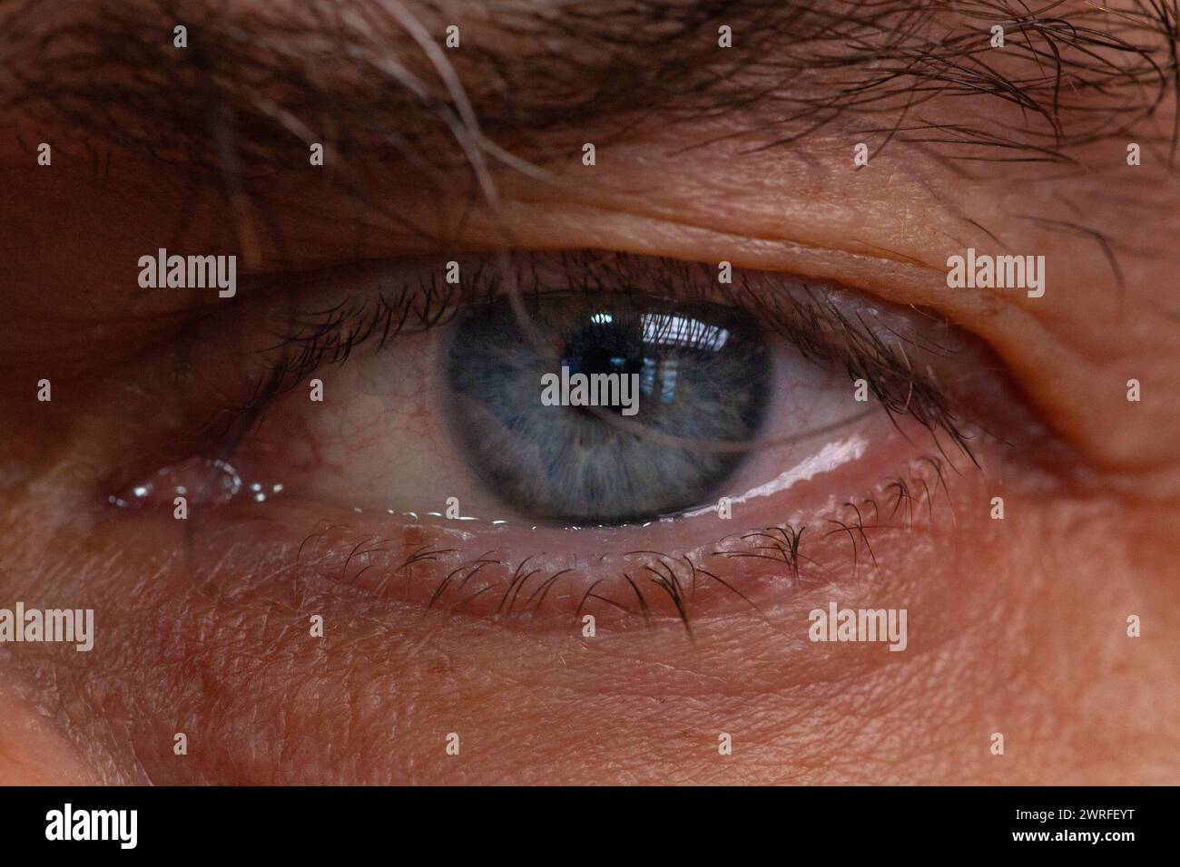 Grandfather's very beautiful blue eyes with very voluminous eyebrows. A ...
