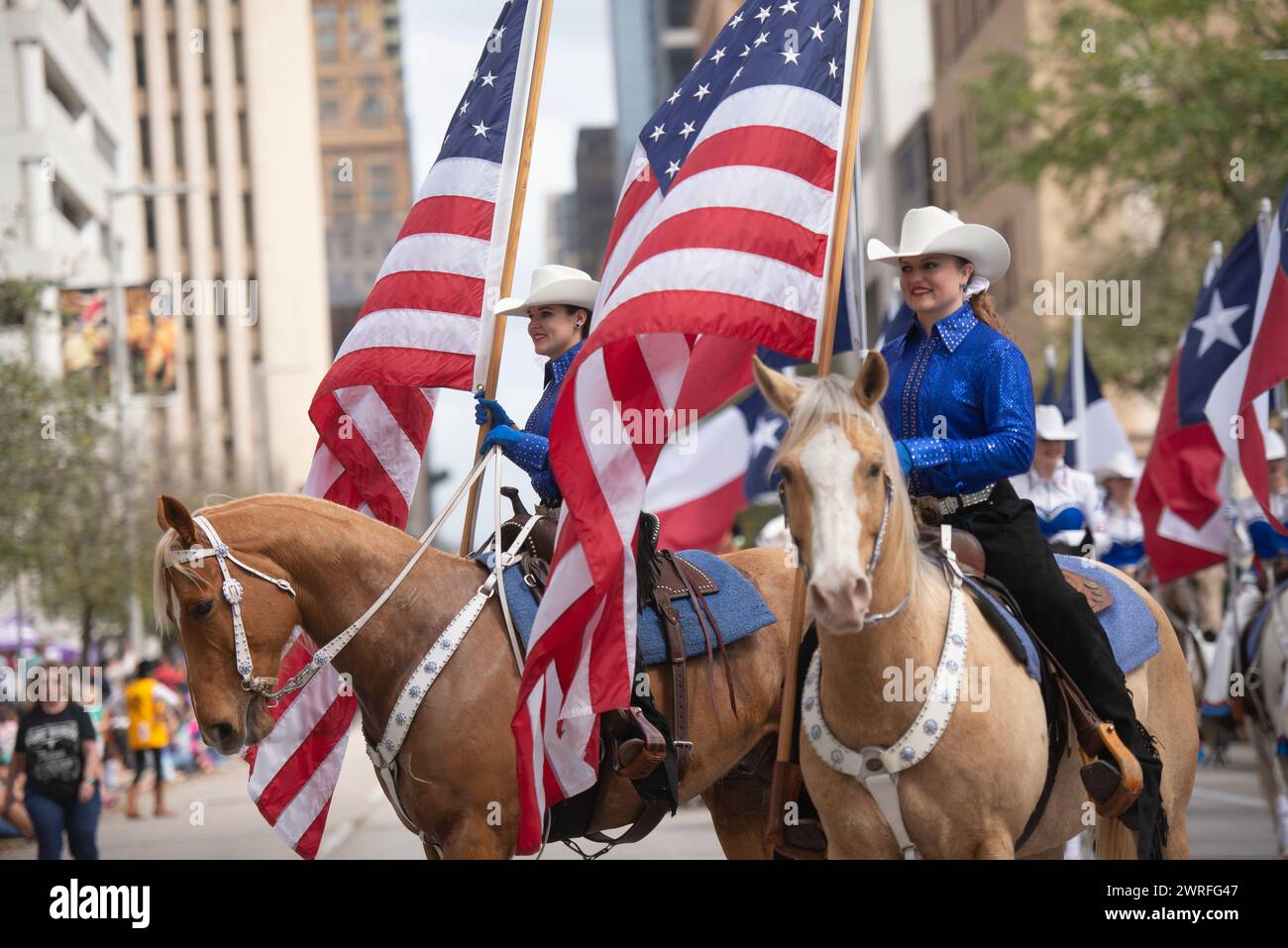 Horse texas flag hi-res stock photography and images - Alamy