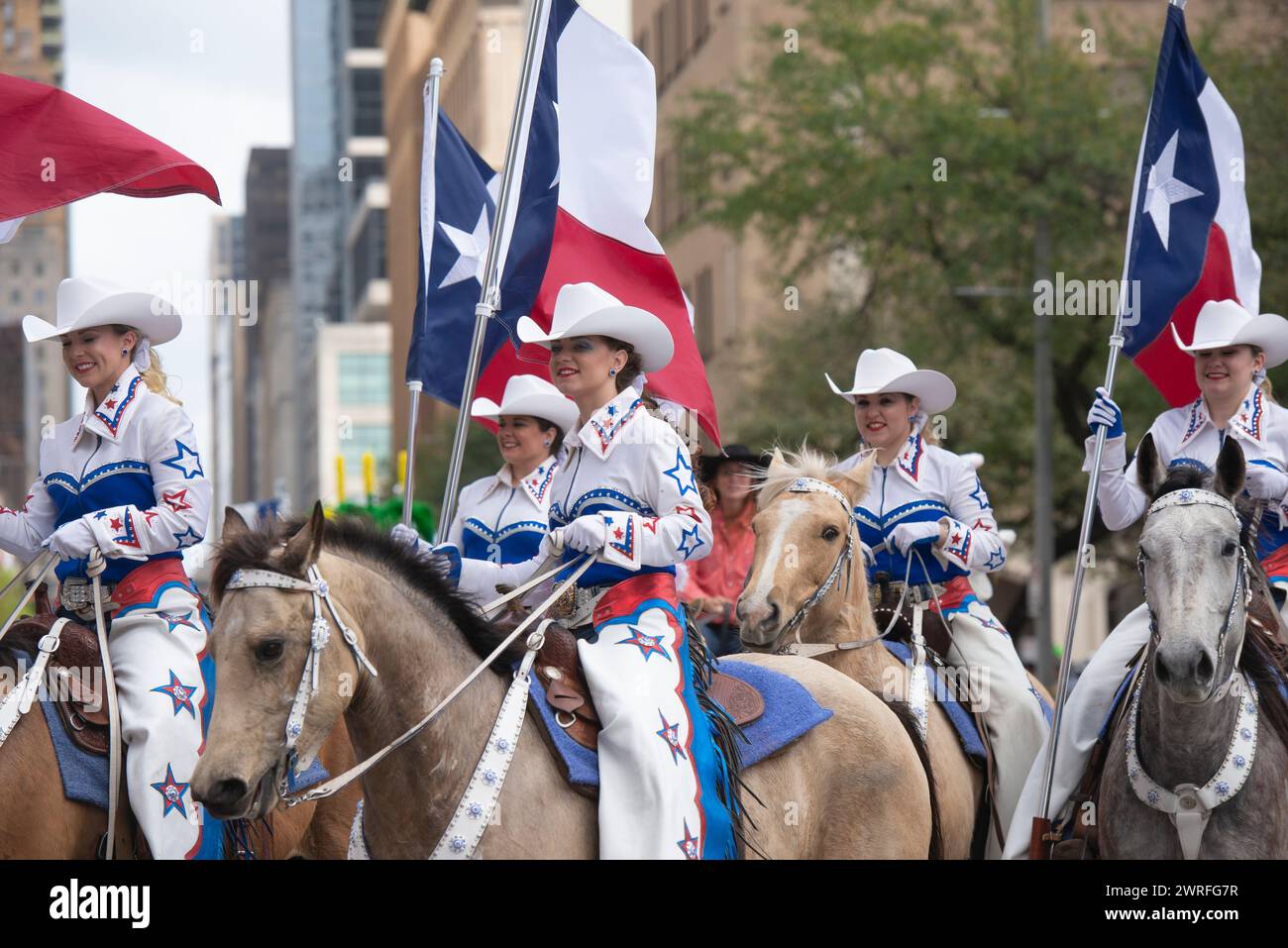 Horse texas flag hi-res stock photography and images - Alamy