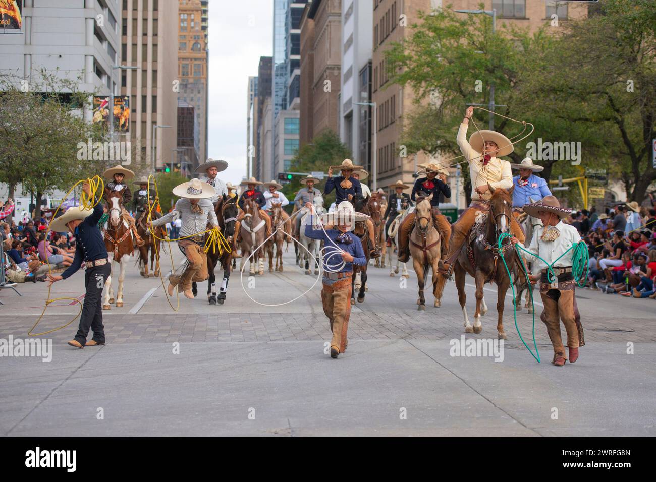 Houston parade livestock show hi-res stock photography and images - Alamy