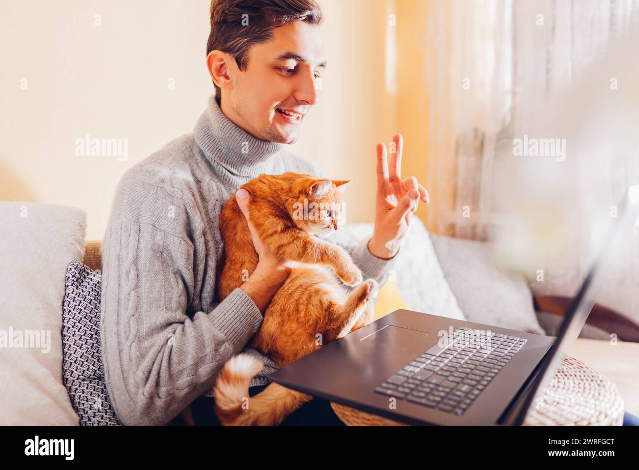 Man facetiming from home holding pet using computer. Ginger cat looking ...