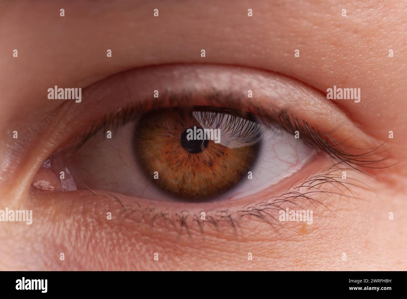 Beautiful big brown eye close-up. Caucasian appearance. Part of a child ...
