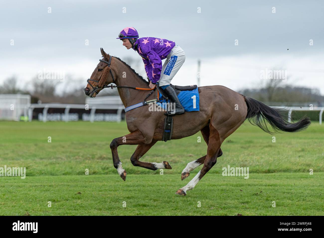 Wincanton races second race, February 3rd 2022 Stock Photo - Alamy