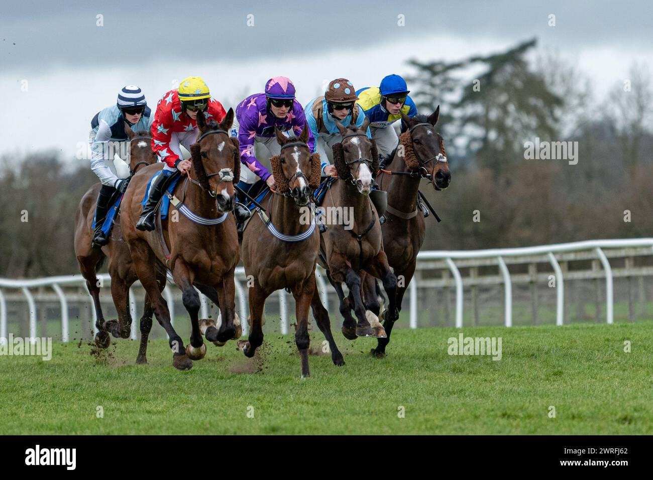 Wincanton races second race, February 3rd 2022 Stock Photo - Alamy