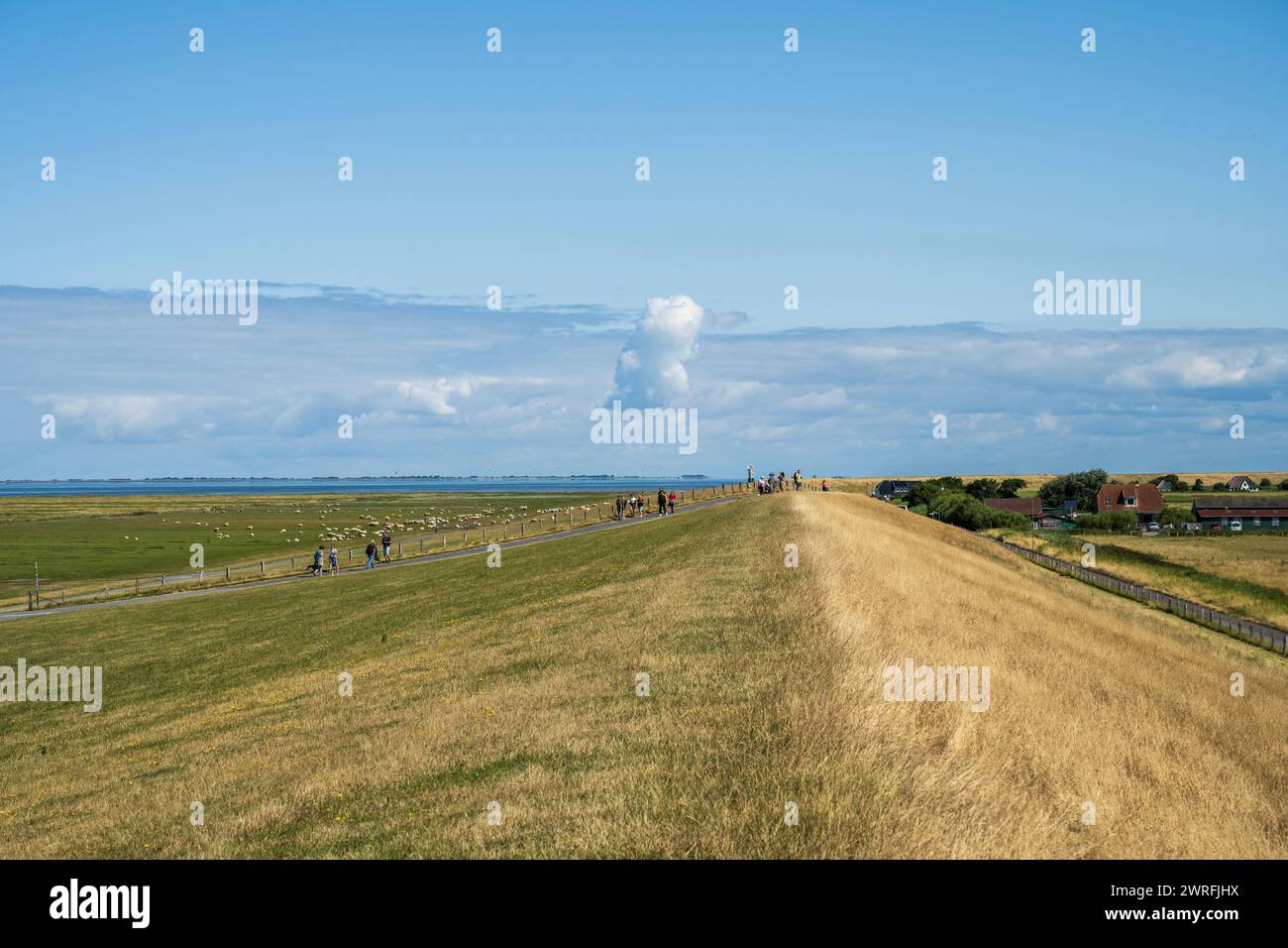 Deichlandschaft an der Nordsee vor bauem Himmel und Wanderern *** Dyke ...