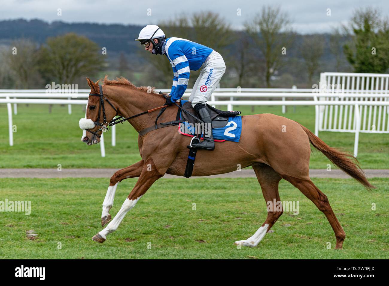 Third race at Wincanton, February 3rd 2022, Handicap Steeple Chase ...