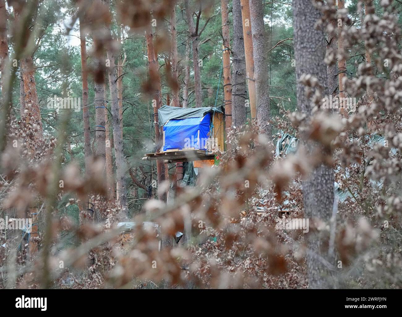 12 March 2024, Brandenburg, Grünheide (Mark): Activists from the "Stop ...