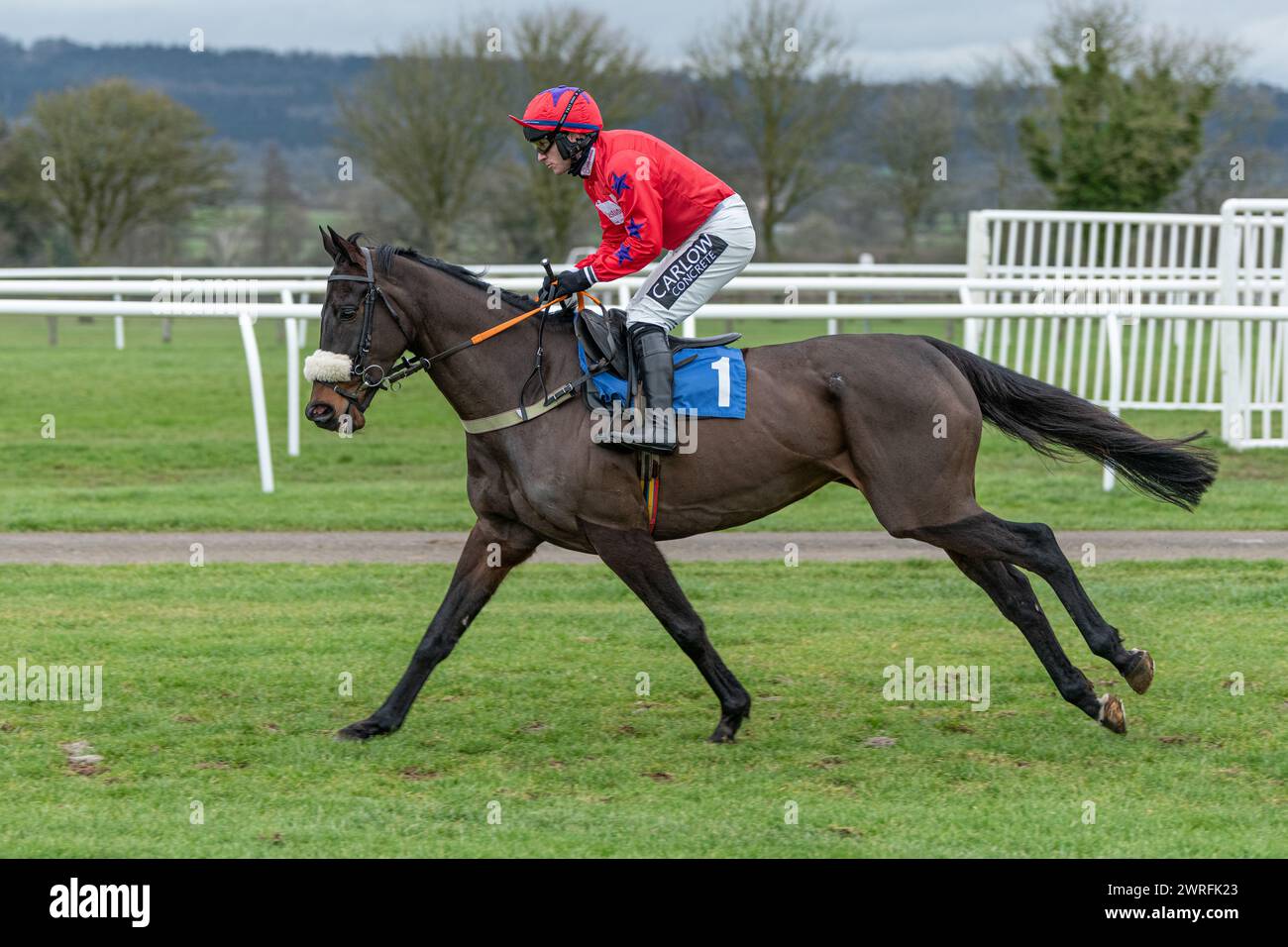 Third race at Wincanton, February 3rd 2022, Handicap Steeple Chase ...
