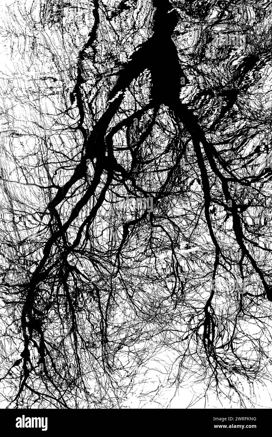 Water distortion hi-res stock photography and images - Alamy