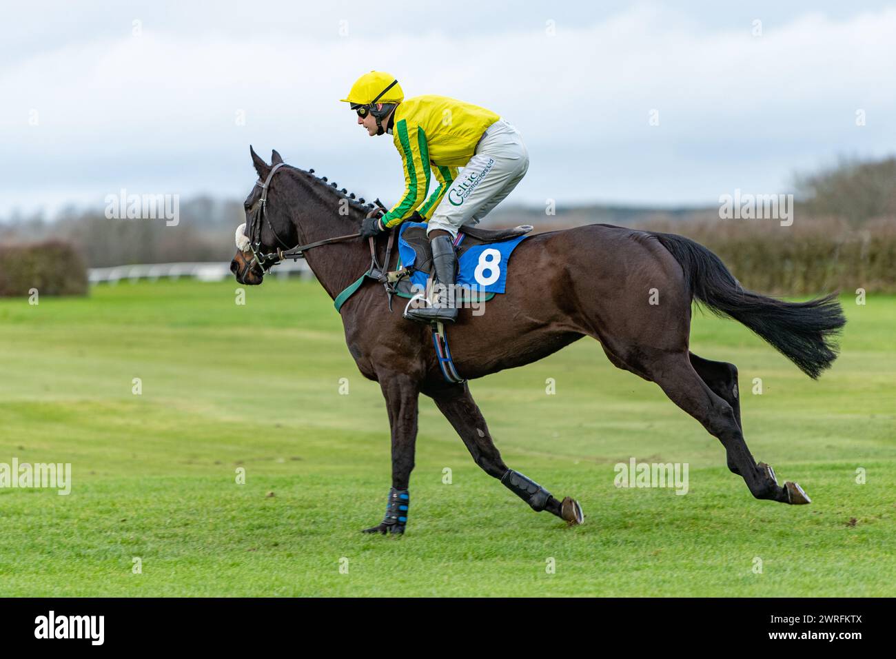 Fourth race at Wincanton, February 3rd 2022 Stock Photo - Alamy