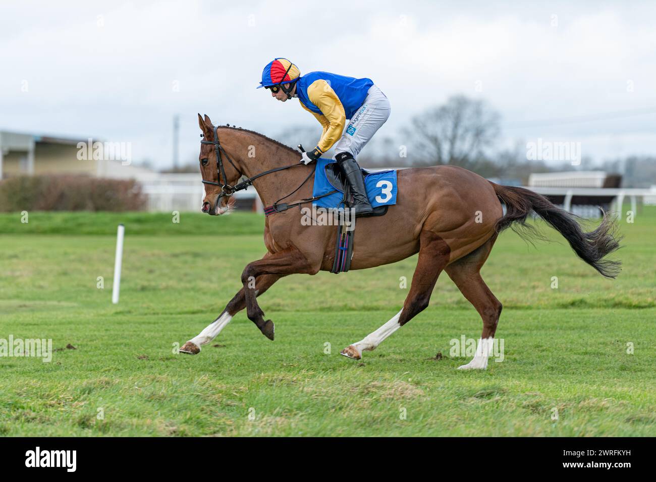 Fourth race at Wincanton, February 3rd 2022 Stock Photo - Alamy