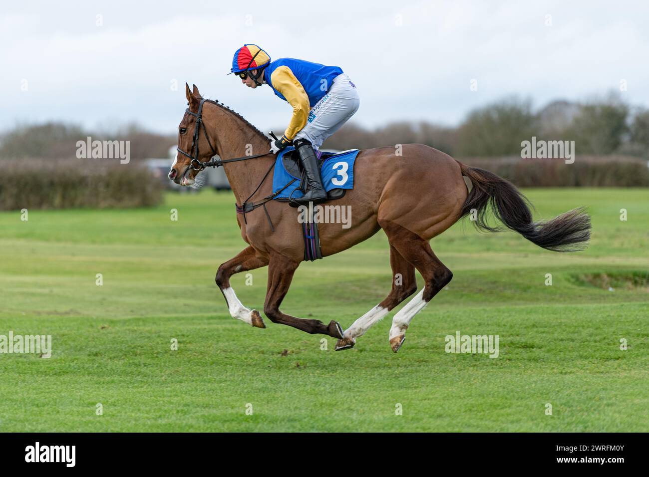 Fourth race at Wincanton, February 3rd 2022 Stock Photo - Alamy