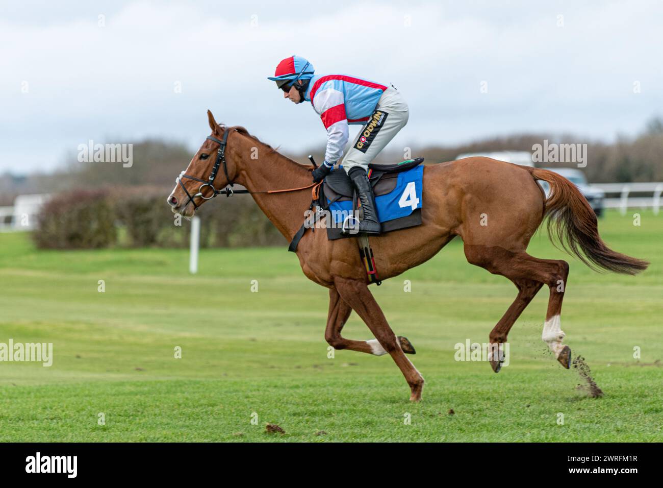 Fourth race at Wincanton, February 3rd 2022 Stock Photo - Alamy