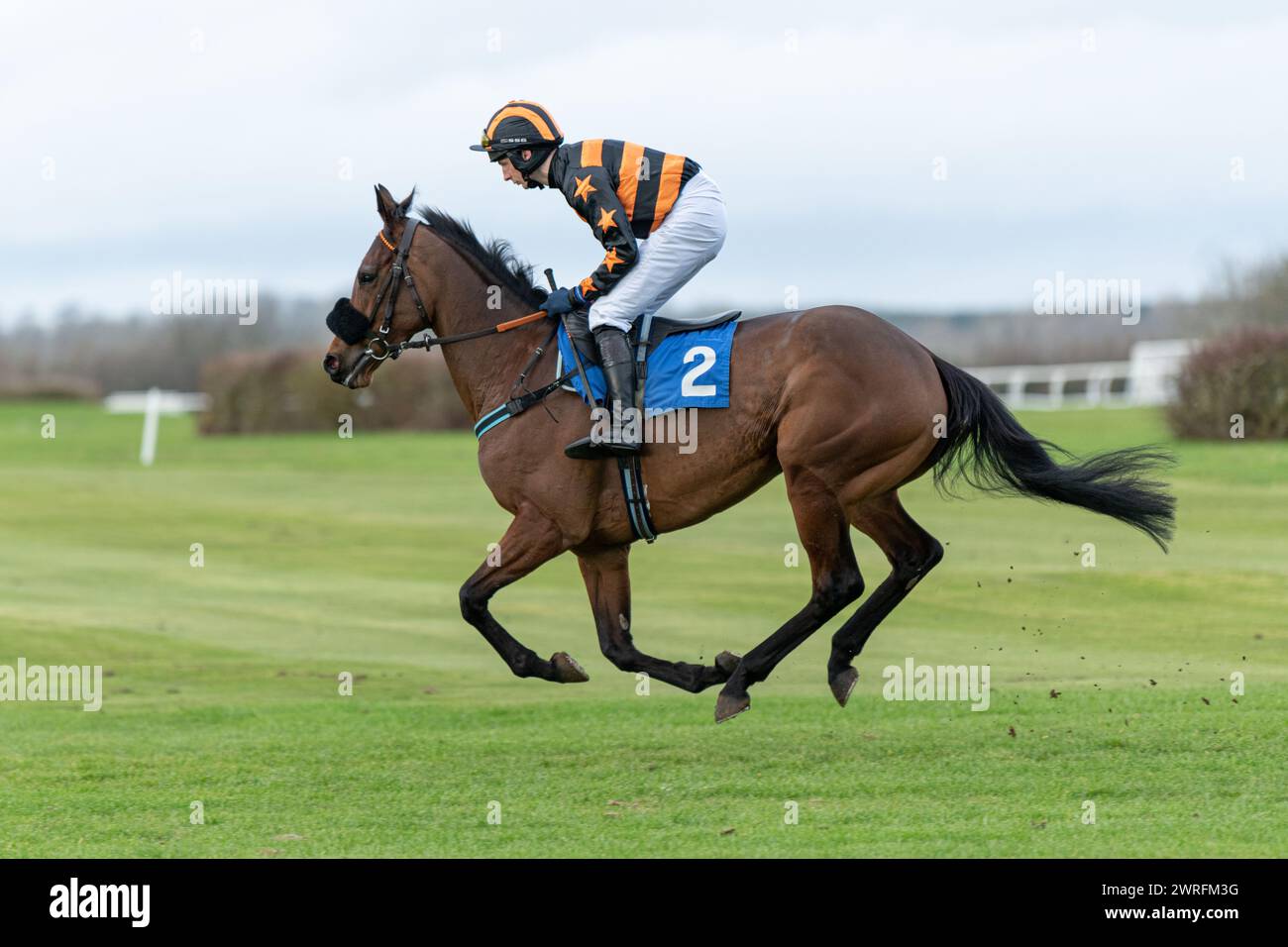 Fourth race at Wincanton, February 3rd 2022 Stock Photo - Alamy