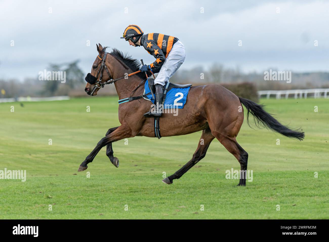 Fourth race at Wincanton, February 3rd 2022 Stock Photo - Alamy
