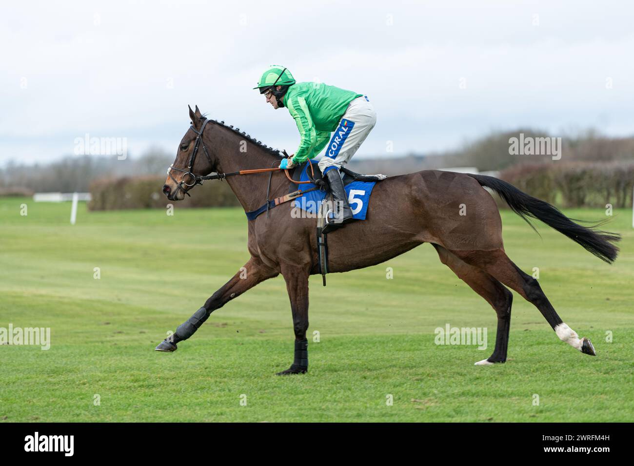Fourth race at Wincanton, February 3rd 2022 Stock Photo - Alamy