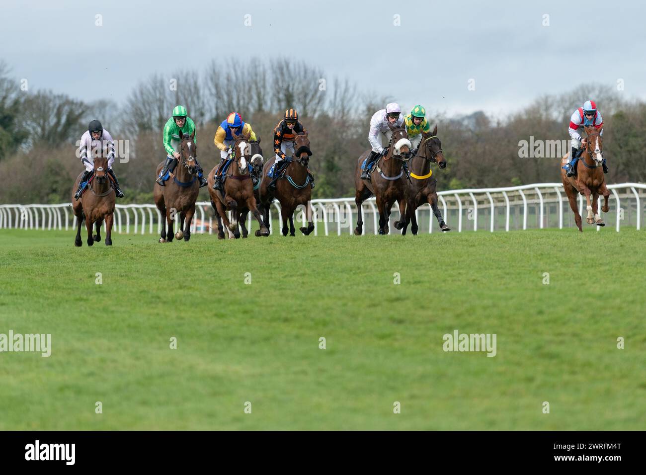Fourth race at Wincanton, February 3rd 2022 Stock Photo - Alamy