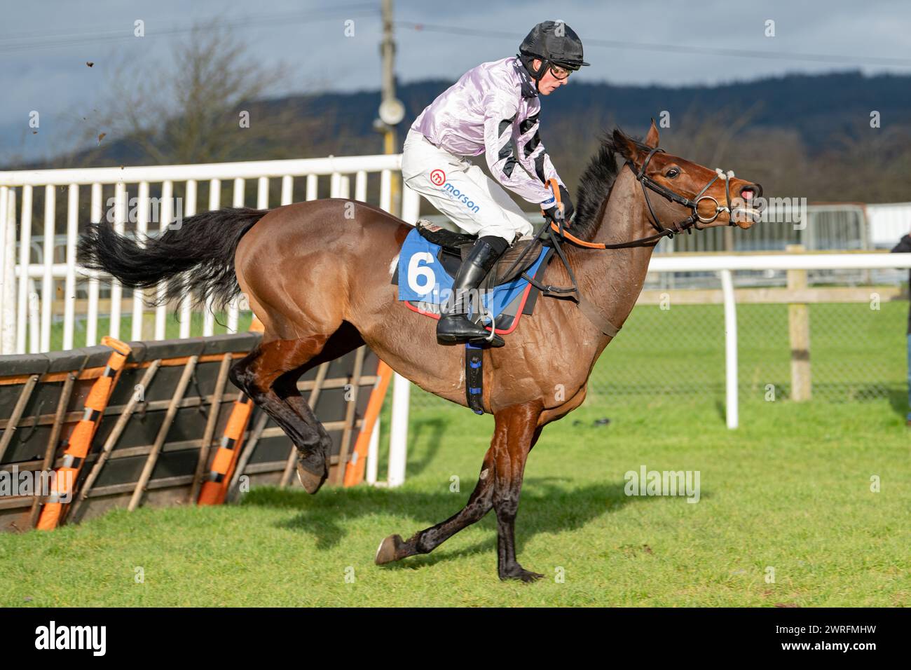 Fourth race at Wincanton, February 3rd 2022 Stock Photo - Alamy