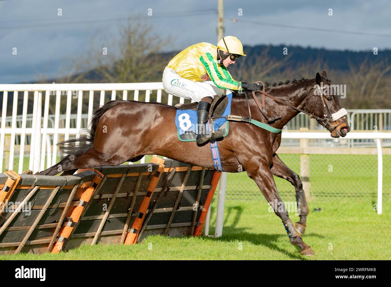 Fourth race at Wincanton, February 3rd 2022 Stock Photo - Alamy