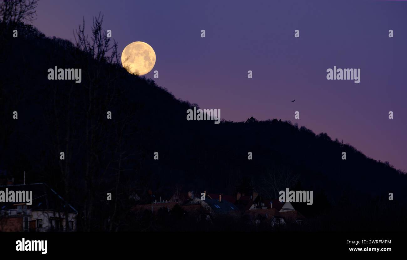 Full moon rising over a silhouette of a forest and rooftops during ...