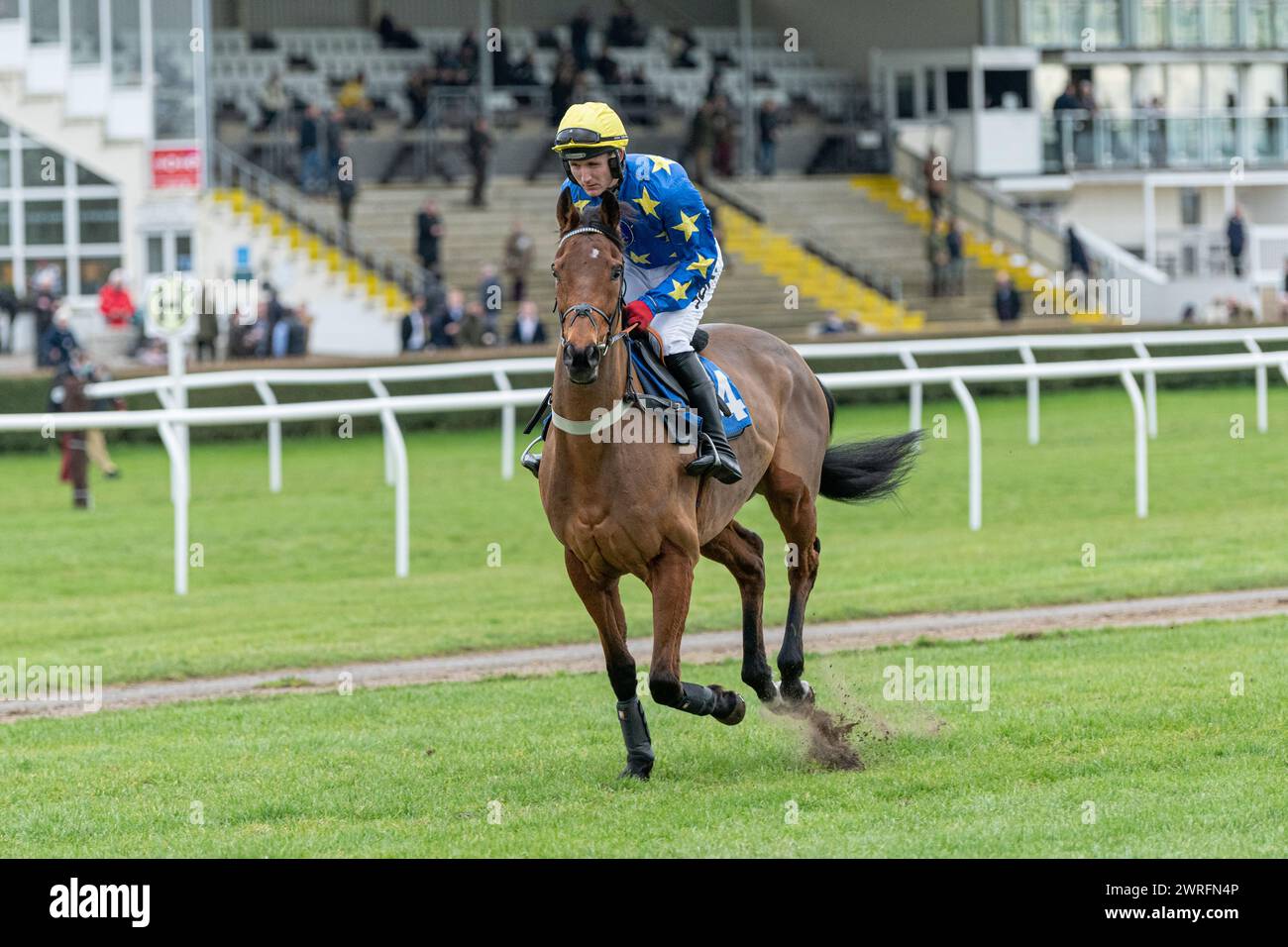 Fifth race at Wincanton, February 3rd 2022 - Peckmoor Farm Lodges ...
