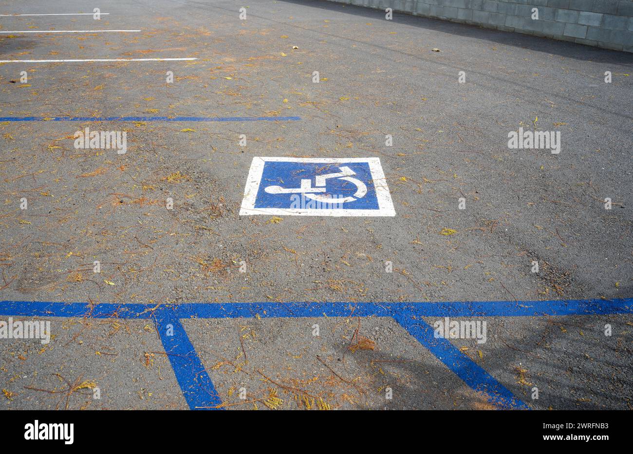 Handicapped Parking signs on the pavement, Southern California Stock ...