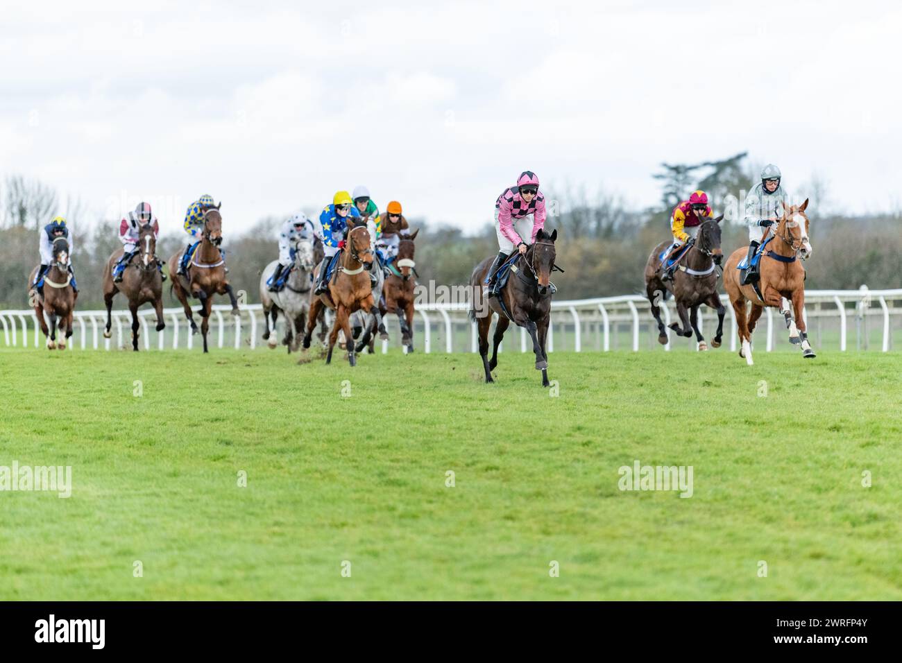 Fifth race at Wincanton, February 3rd 2022 - Peckmoor Farm Lodges ...