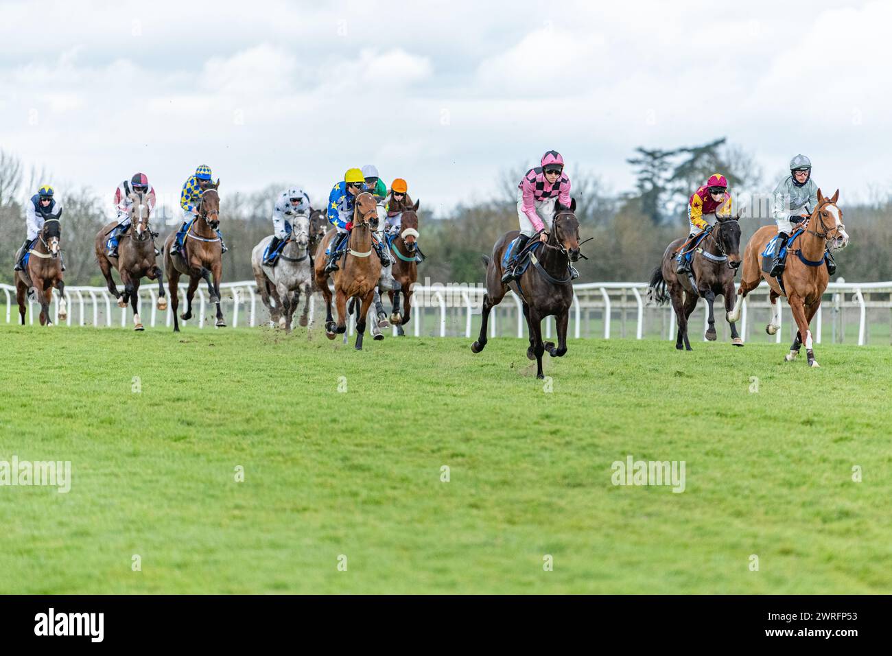 Fifth race at Wincanton, February 3rd 2022 - Peckmoor Farm Lodges ...