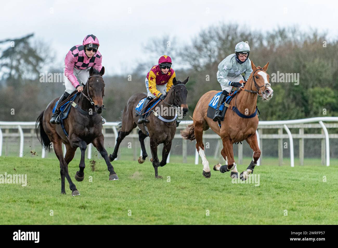 Fifth race at Wincanton, February 3rd 2022 - Peckmoor Farm Lodges ...
