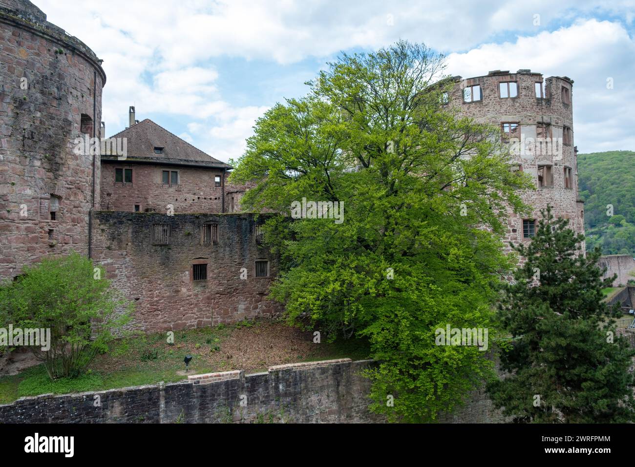 East side of Heidelberg Castle, popular travel destination in Baden ...