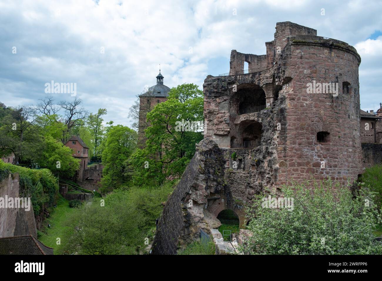Heidelberg Palace popular destination Germany, castle in nature ...
