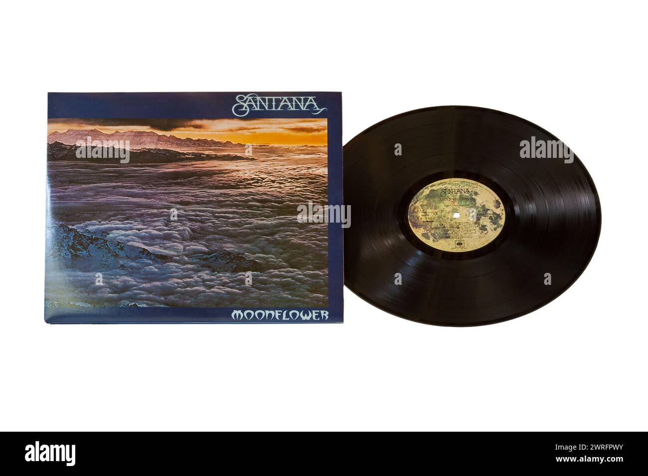 Moonflower santana hi-res stock photography and images - Alamy