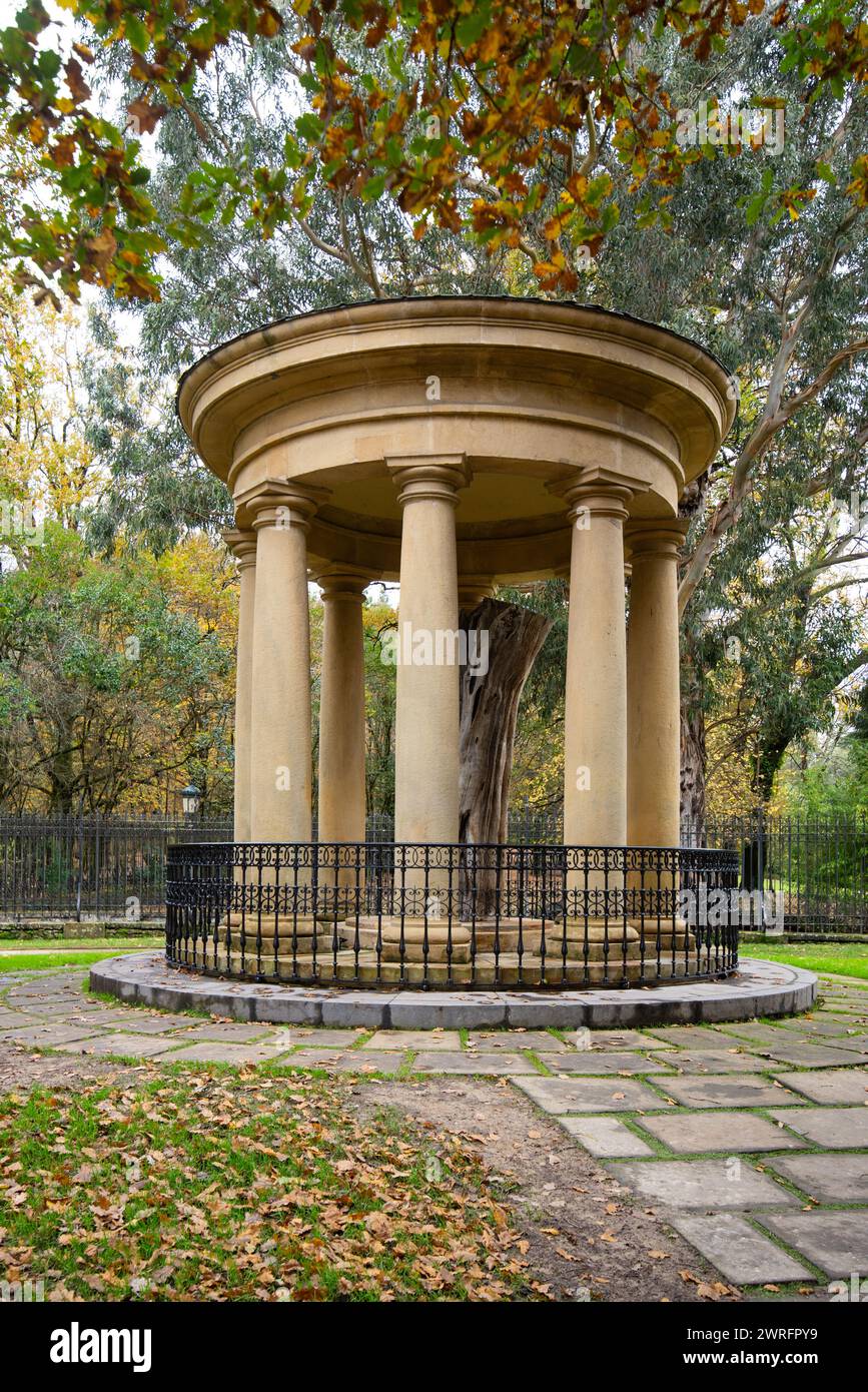 The old oak tree of Gernika that symbolizes traditional freedoms for ...