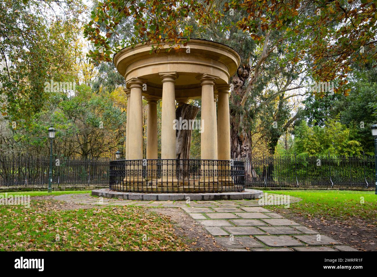 The old oak tree of Gernika that symbolizes traditional freedoms for ...