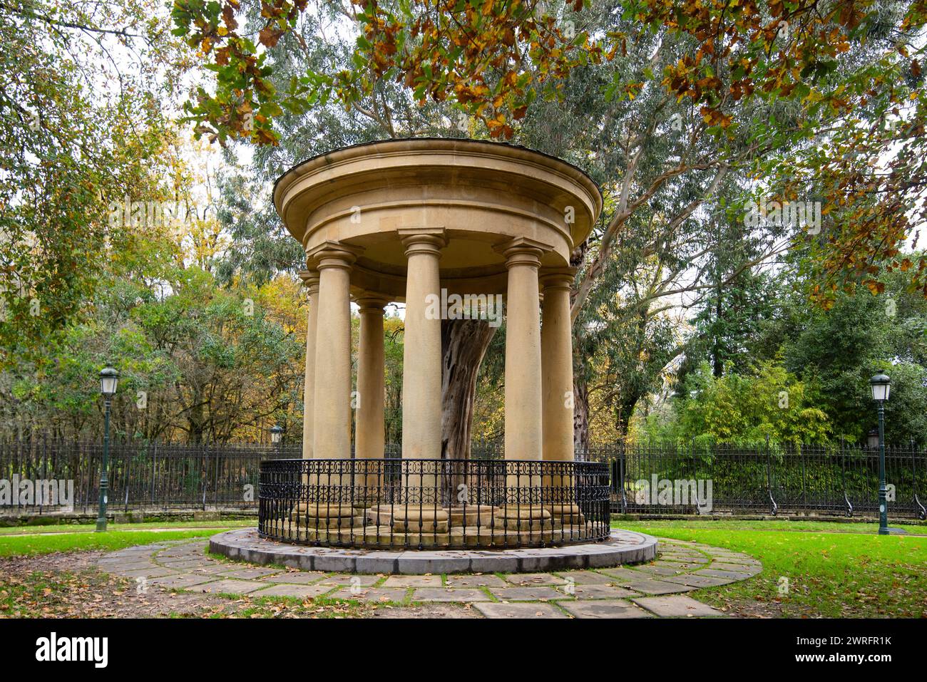 Old tree of guernica hi-res stock photography and images - Alamy