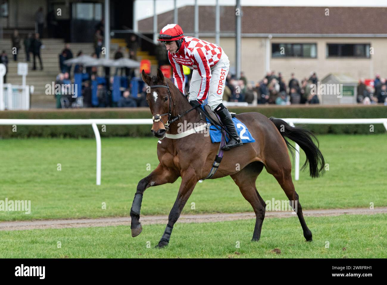 Alexandra dunn trained boolamore glory hi-res stock photography and ...