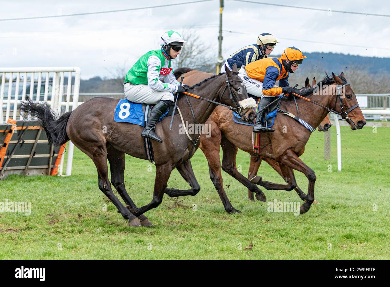 Harry reed hi-res stock photography and images - Alamy